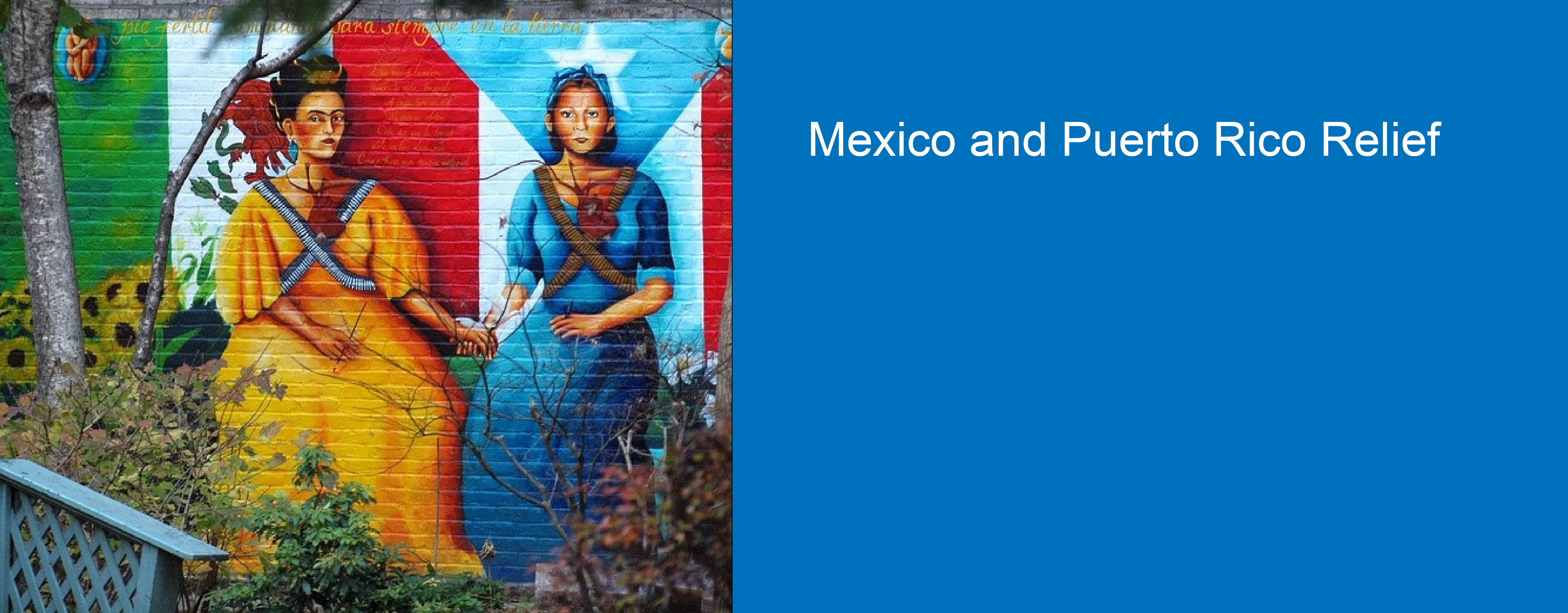 The Committee for Hispanic Children and Families | The Committee for ...